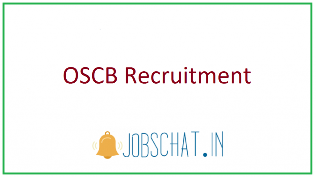OSCB Recruitment 2020 | 786 Banking Assistant, AM Jobs