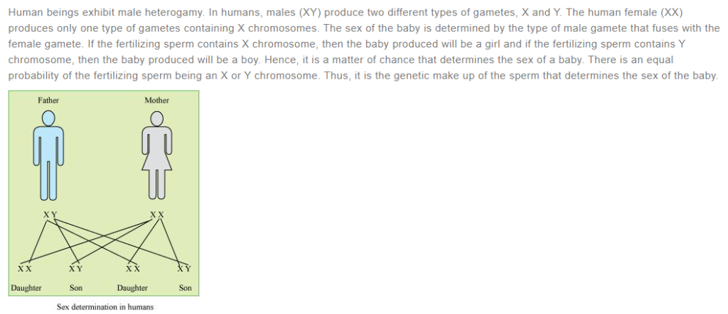NCERT Solutions For Class 12 Biology Chapter 5 - Free Pdf